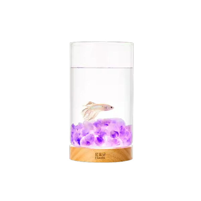 مینی آکواریوم با سنگ های آمیتیست Amethyst Crystal Stone mini Aquarium